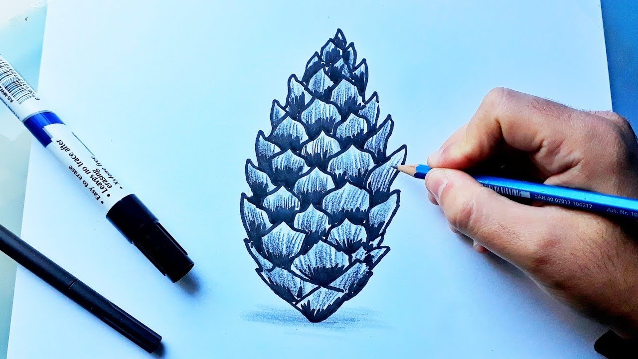 Comment dessiner une pomme de pin facilement