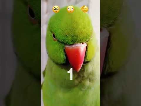 Emoji Gif Challenge π
