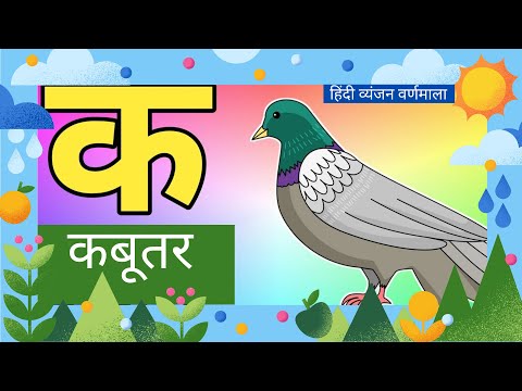 Learn Hindi Alphabets – K for Kabootar 🕊️ | Kids Hindi Varnamala Learning | manojkimunni