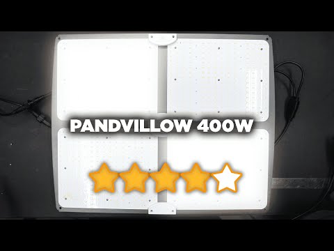 Pandvillow Generic LED Grow Light Test and Review - Reference Light for All Future Tests