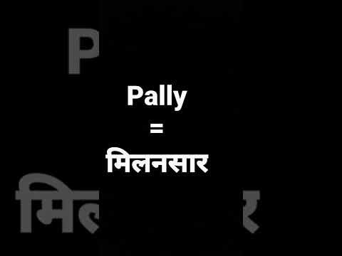 pally meaning in hindi and its parts of speech and its pronunciation