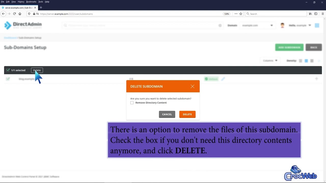 How to remove sub domain in DirectAdmin - CrocWeb Cloud