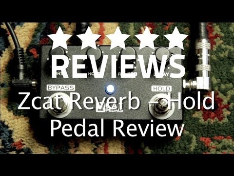 ZCat Hold Reverb | Reverb