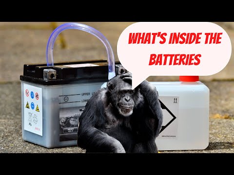 Battery / cells and their composition