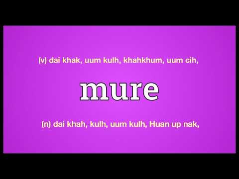 mure meaning in English Ngawn