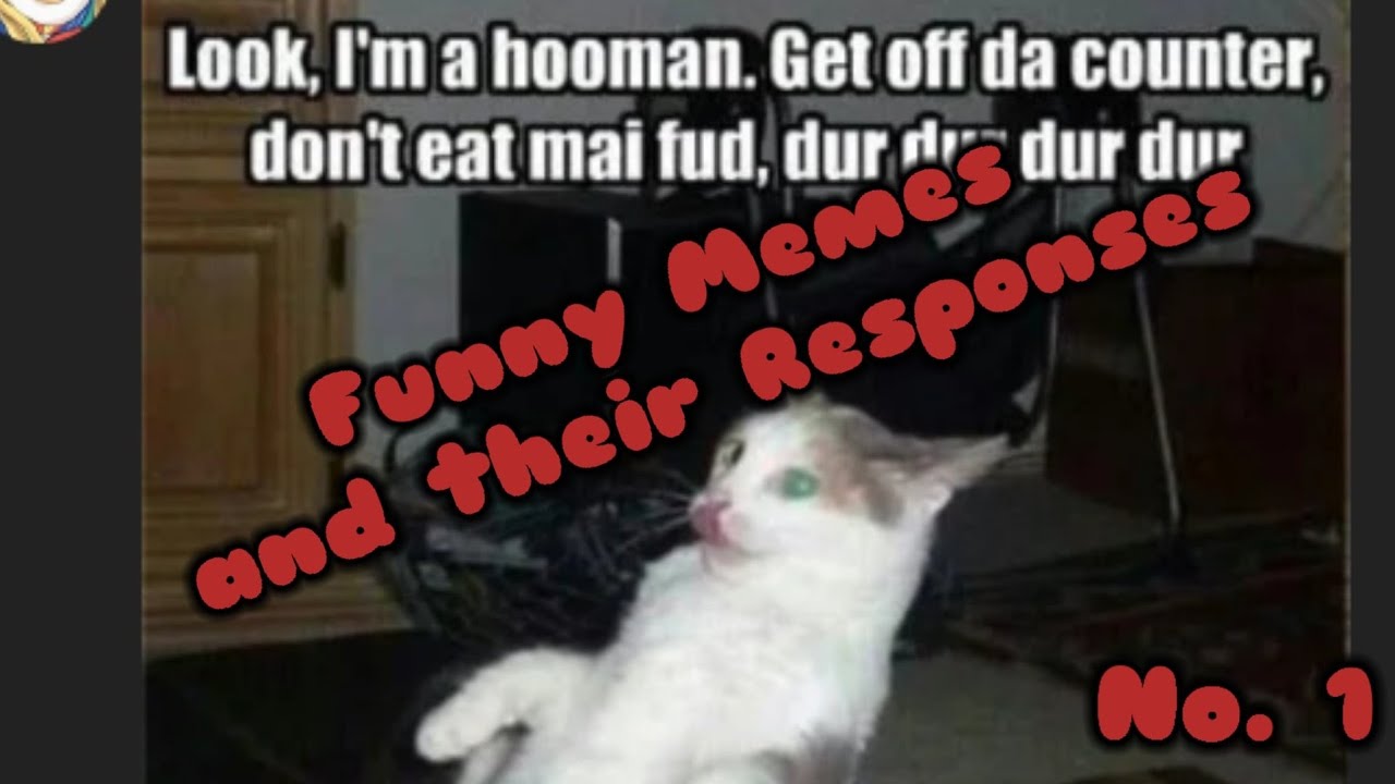 Funny memes and their responses || Part 1 || #shorts