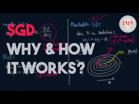 Stochastic Gradient Descent | Why and How it Works?