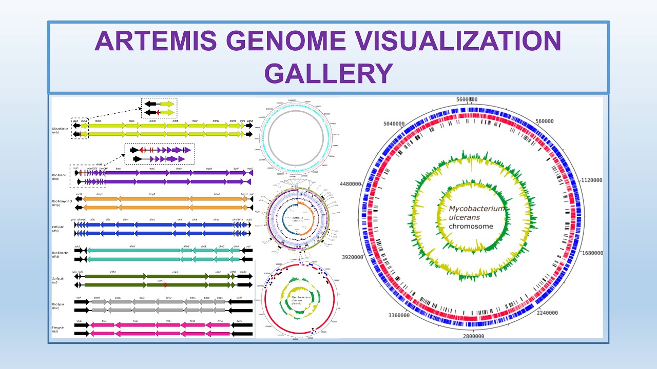 Genome Visualization Gallery ( Episode 1)