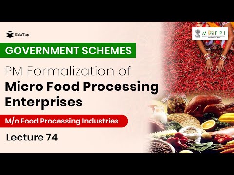 PM Formalization of Micro Food Processing Enterprises Schemeβ | Important Government Schemes & MCQs