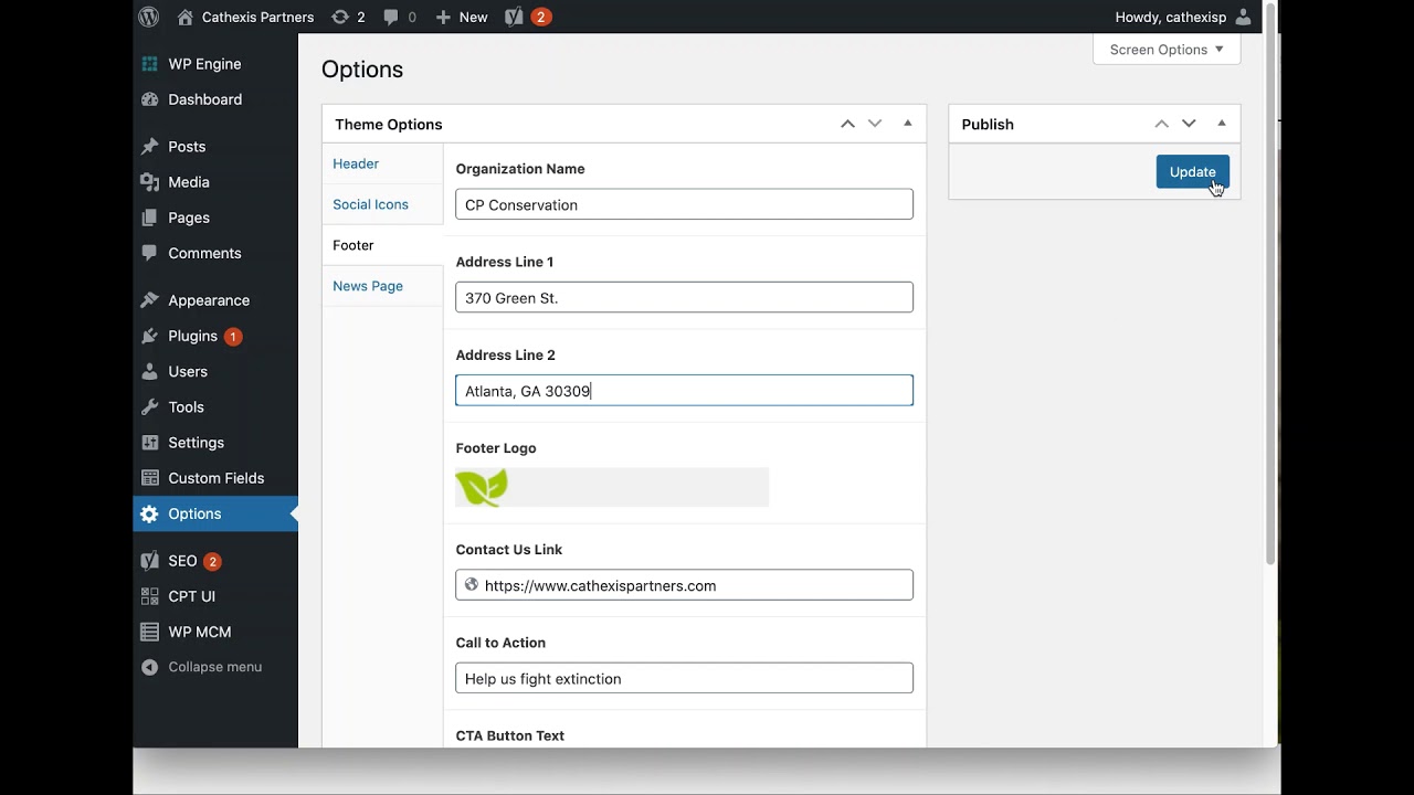 How to edit theme options in WordPress