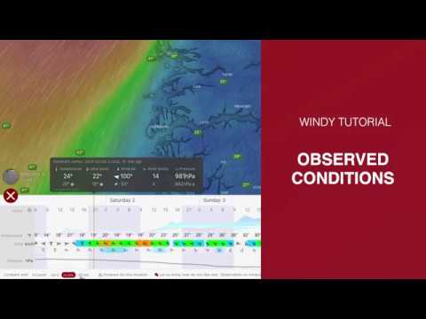 Observed weather conditions - WINDY TUTORIAL