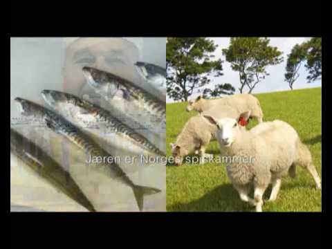 The Stavanger region, Norway - #RegionStavanger