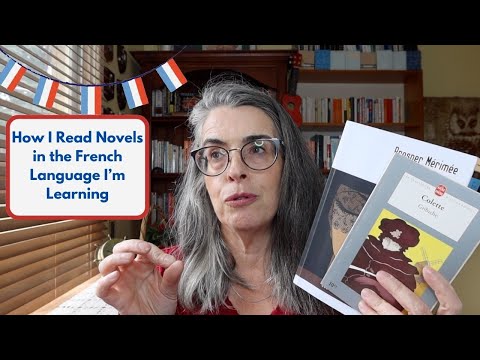 How I Read Novels in French