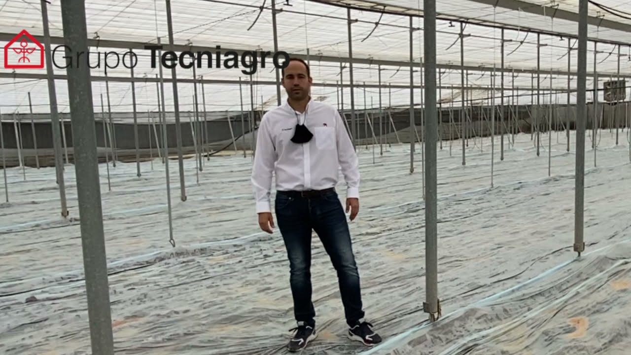 SOLARIZACIÓN Y DESINFECCIÓN DE SUELOS LIMPIA Y SALUDABLE PARA TUS CULTIVOS