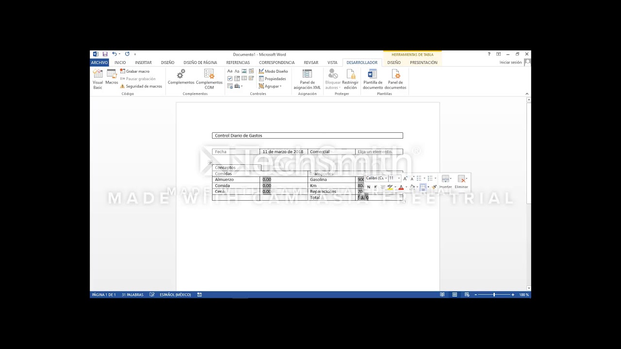 Nota de Remision en Word con formulas