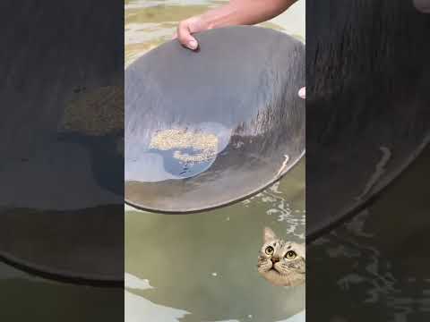 How to get gold from the river