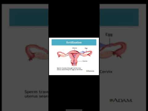 Family planning methods part 1