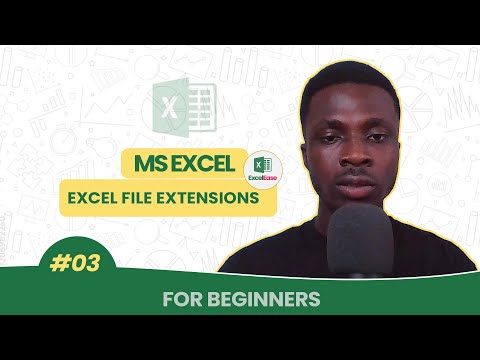 Excel File Extensions || Excel Ease || 003