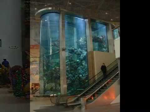 AB BALTIC MEGA MALL International Concept Management