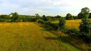 3 Best Parks in Worcester, UK - Expert Recommendations