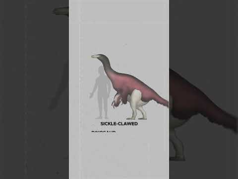 The Longest Dinosaur Names