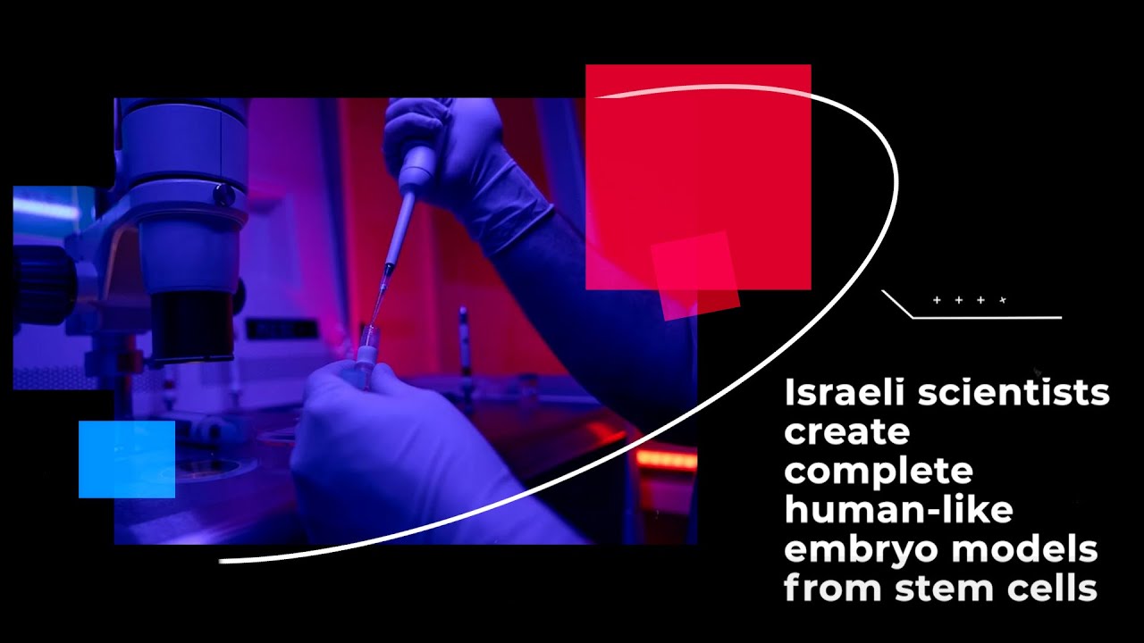 Israeli scientists create complete human-like embryo models from stem cells
