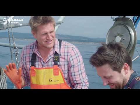 Incredible California Salmon from Princess Seafood