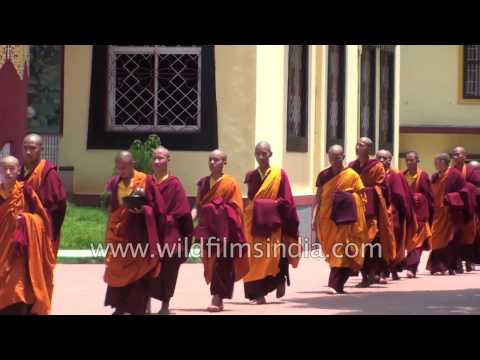 Namdroling Monastery or Golden Temple in Bylakuppe, Kushalnagar