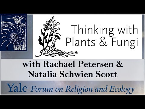 Spotlights, 5.19, Thinking with Plants and Fungi, with Rachael Petersen and Natalia Schwien Scott