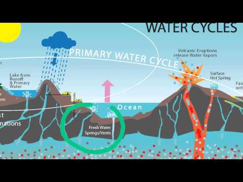 Primary Water EXPLAINED Why We DO NOT Have a Water Shortage | Economy ...