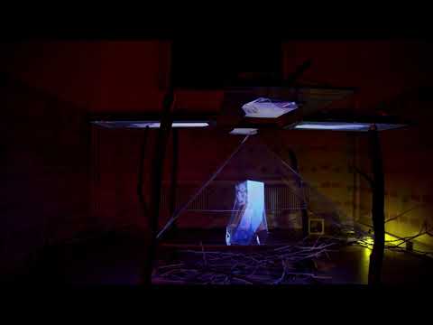 INTERCONNECTED – DEBORAH GEPPERT