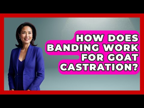 How Does Banding Work For Goat Castration? - The World of Agriculture