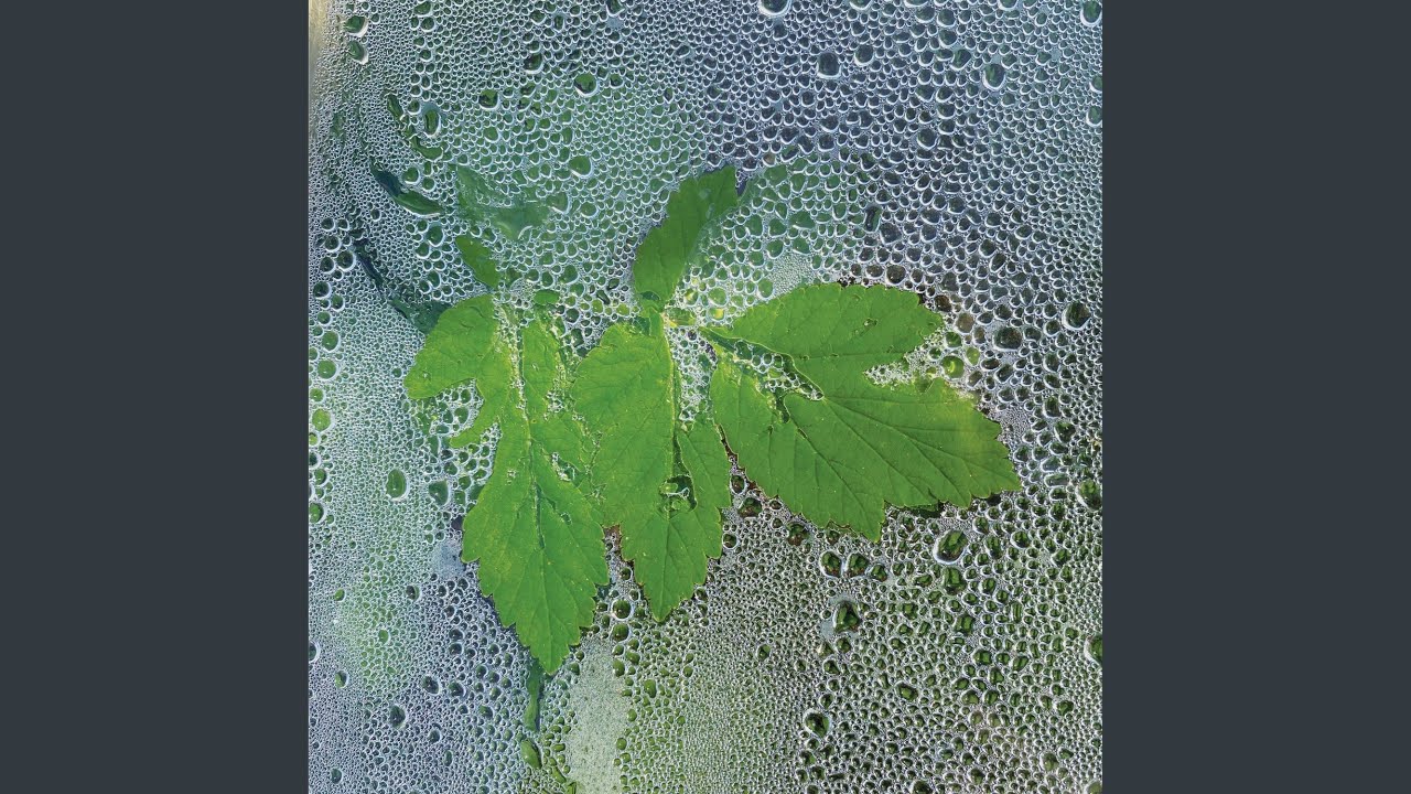 Reflection (Interlude)