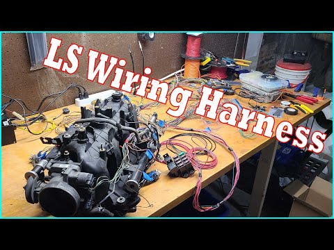 LS Stand Alone Harness!