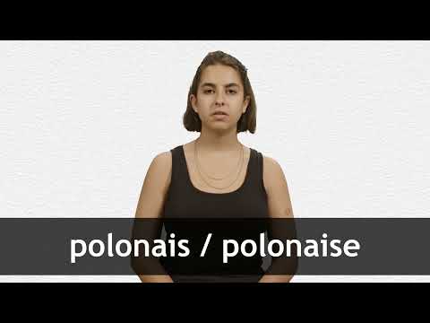 English Translation of “POLONAIS” | Collins French-English Dictionary