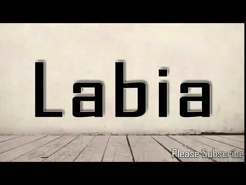 How to Pronounce Labia