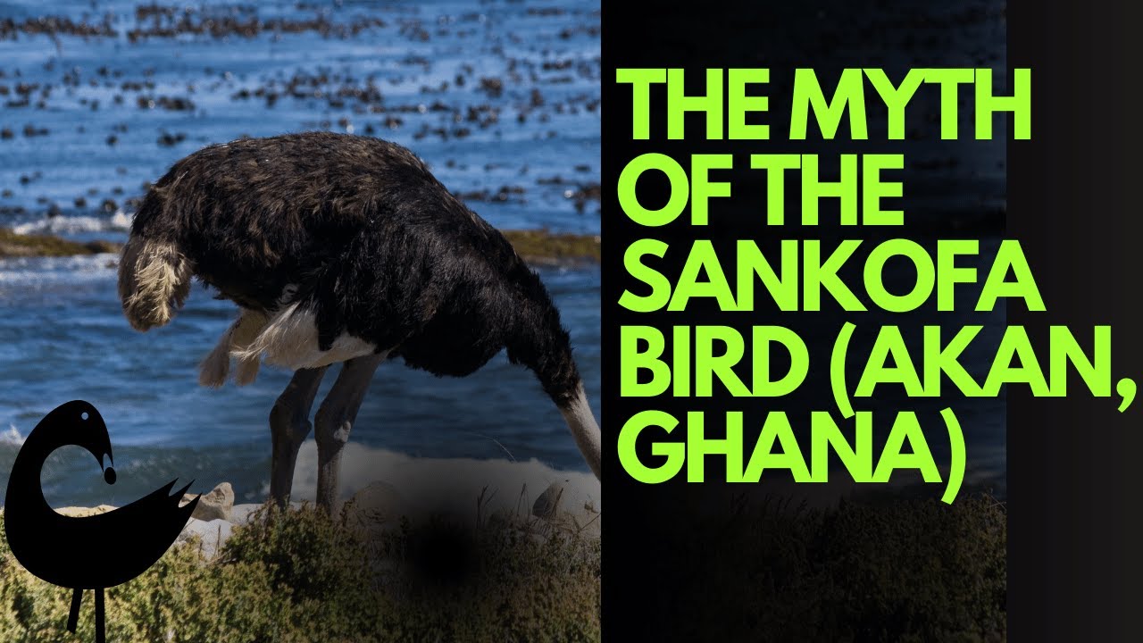 The Myth of the Sankofa Bird (Akan, Ghana)