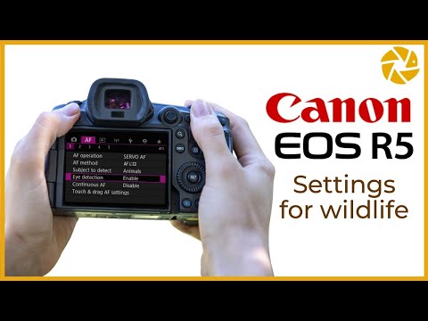 Canon R5 settings for wildlife photography (4147C002)