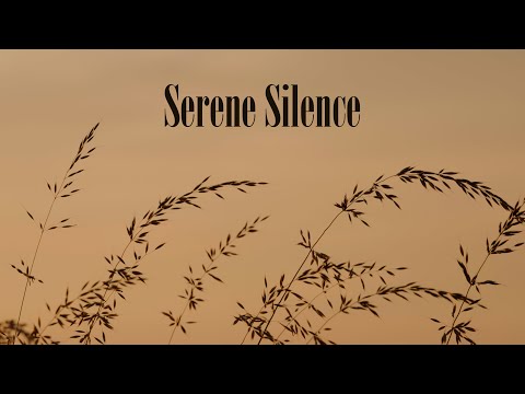 Serene Silence - Poetic Documentary