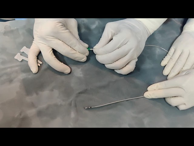 Medical Guide Wire - BOSTON Choice PT Wire Wholesale Trader from New Delhi