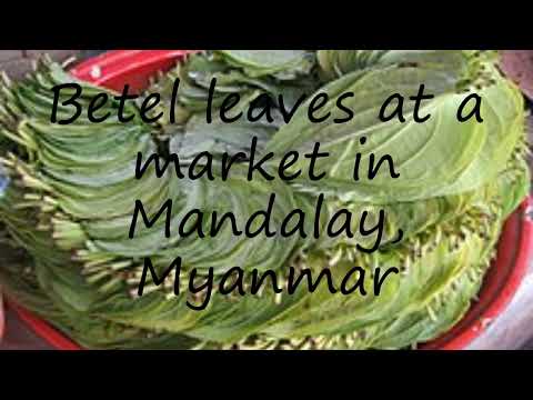How to pronounce Betel leaves at a market in Mandalay, Myanmar in English?