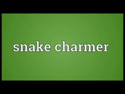 Snake charmer Meaning | Wordogram