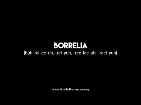 How to Pronounce "borrelia"
