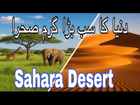 صحارا: دنیا کا سب سے خطرناک ریگستان | Sahara Desert Secrets in Urdu