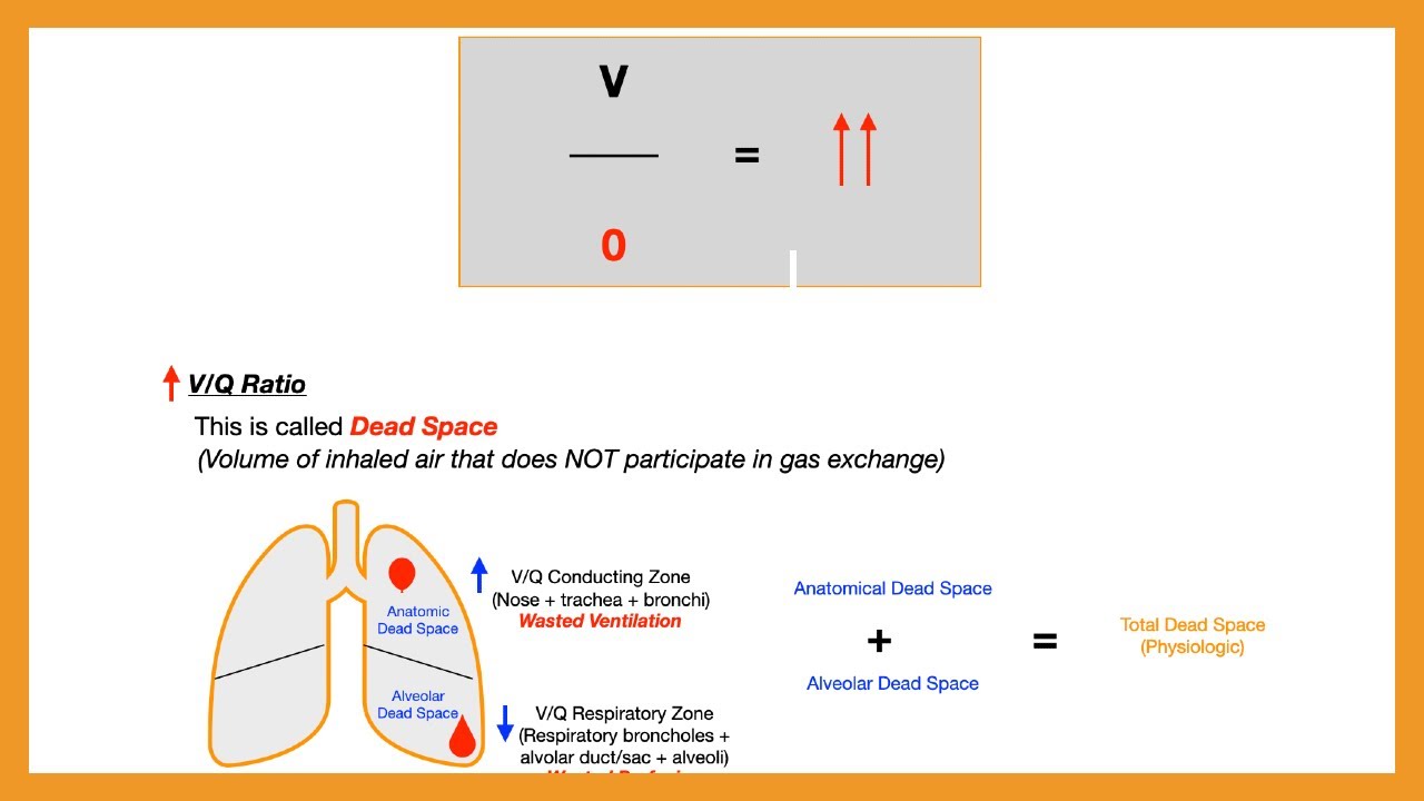 V/Q Mismatch (Dead Space vs. Shunts)