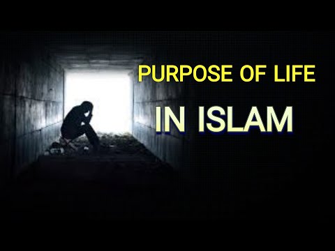 Purpose of life☝🏻 | purpose of life in Islam | supportive Islam