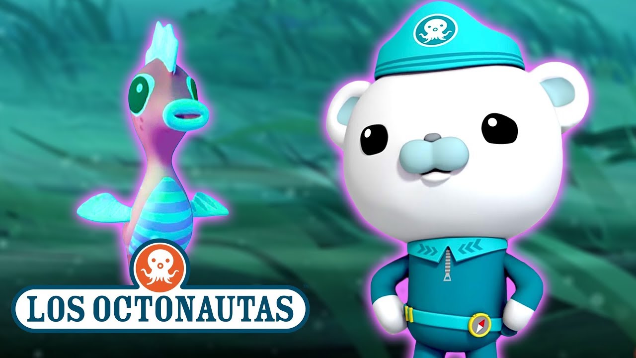 Los Octonautas Oficial En Español - Salvando los Caballitos de Mar