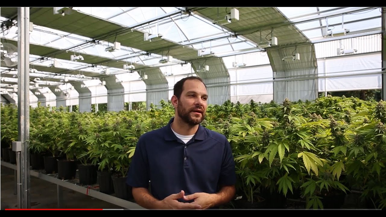 Next G3N Greenhouse Case Study - Automated Light Deprivation