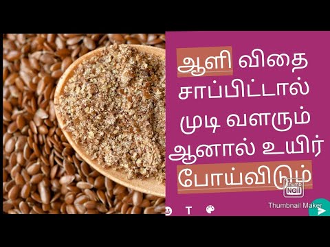 Flaxseed ( Dangerous ) Side effects| flax seeds in Tamil | flax seeds | Hair research Tamil |