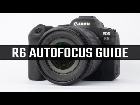 Canon R6: Autofocus modes explained (4082C002)